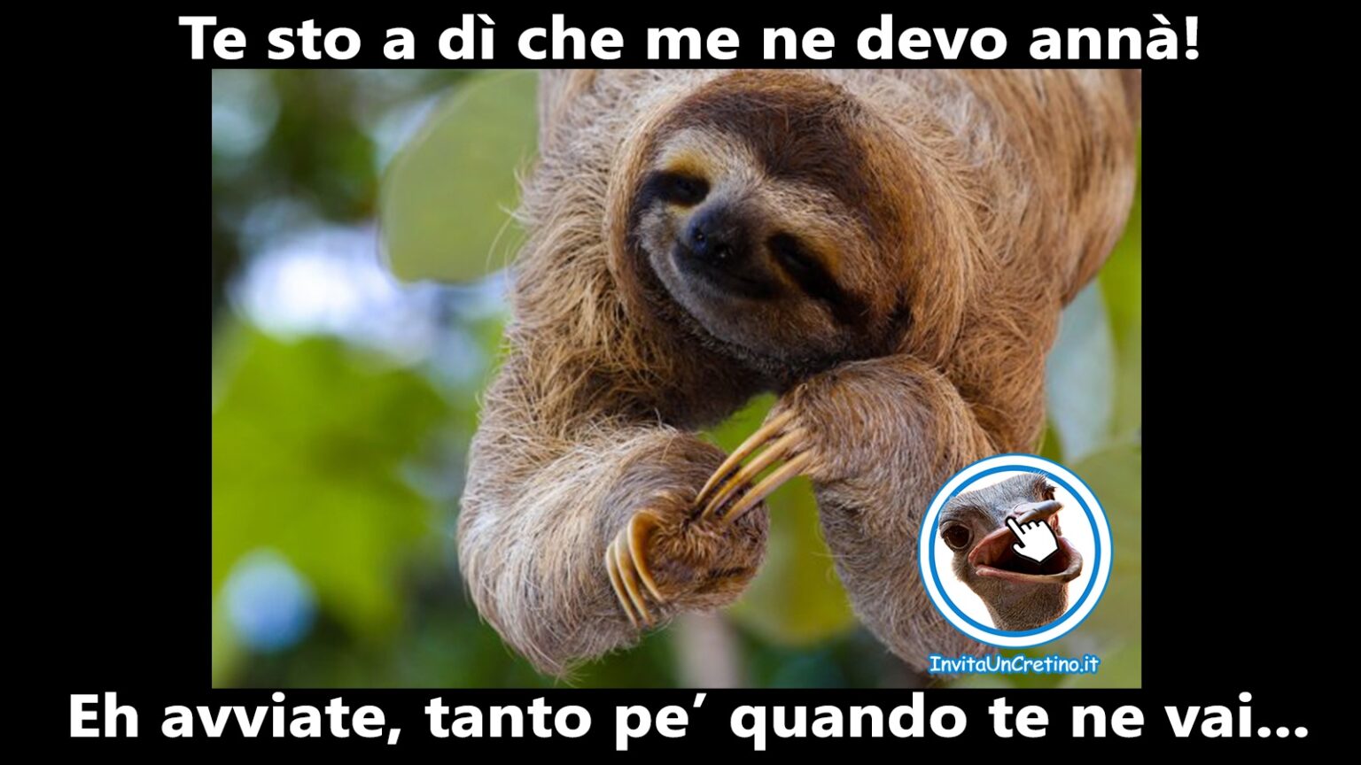 Immagini divertentissime per ridere e far divertire chi vuole ridere